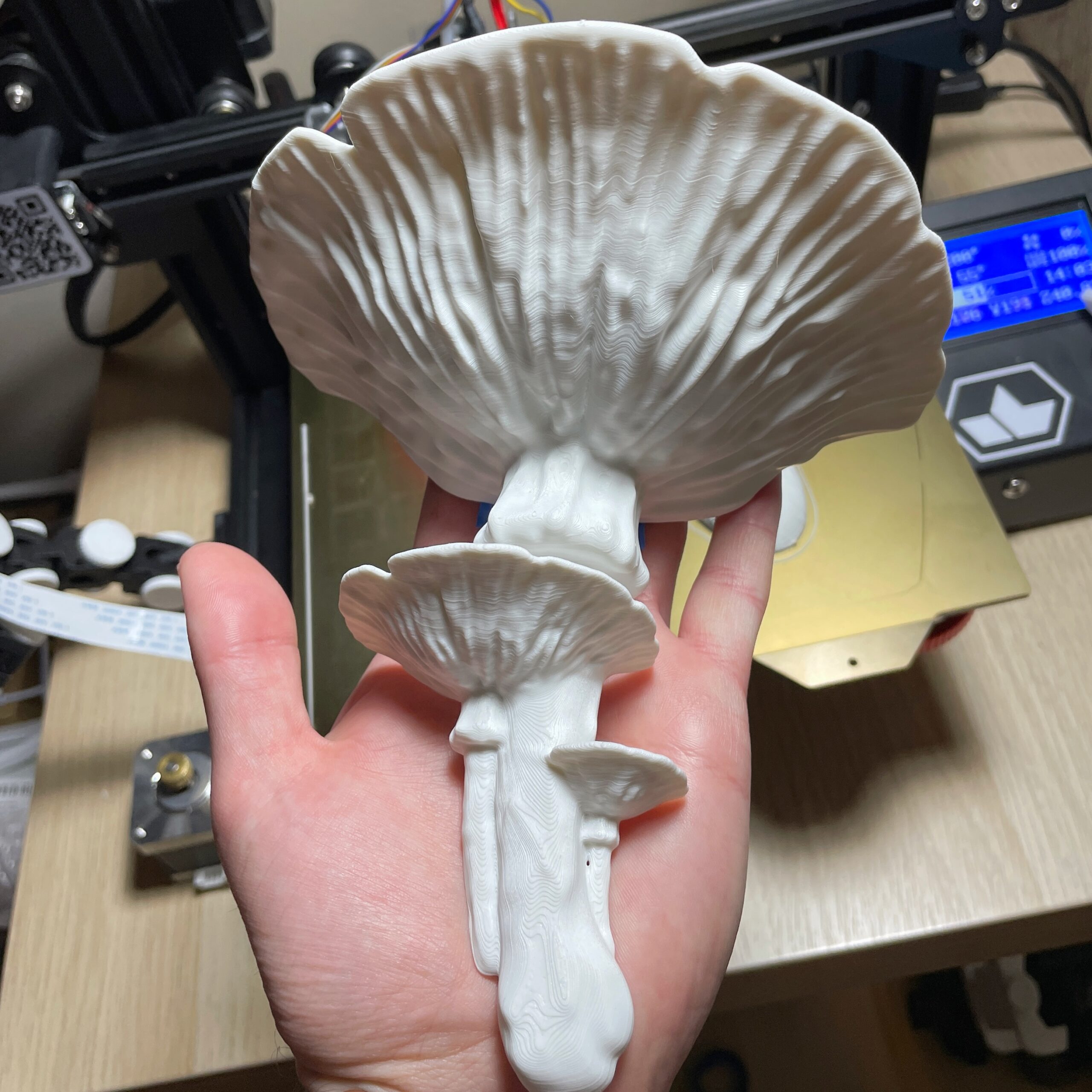 Hongo Amanita – Riseland – Impresión 3D en Colombia